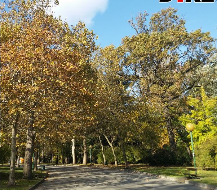 parco nord bologna - L'Impronta L'Aquila